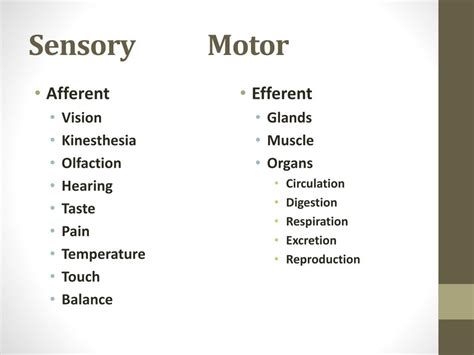 Ppt Neuroanatomy And Neurophysiology Powerpoint Presentation Free
