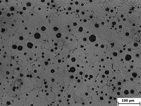 Optical Micrograph Of As Cast Gjs 600 10 Grade Ductile Iron Download