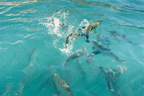 Climatescience Stephen Catchpole