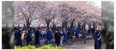 外国人の国民健康保険、年間推定4000億円以上を税金で穴埋め… ニュース