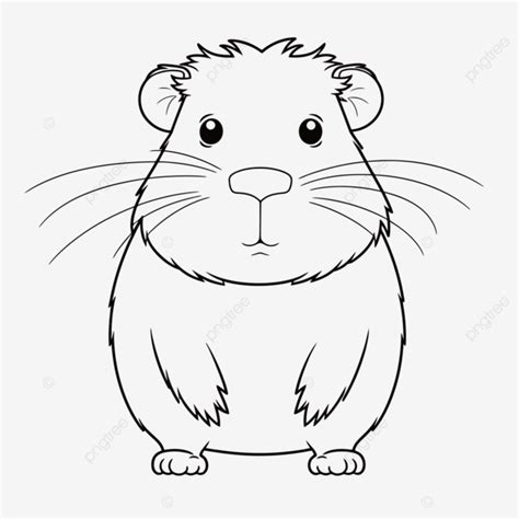 햄스터 개요 스케치 드로잉의 색칠 그림 벡터 카피바라 그리기 카피 바라 개요 카피바라 스케치 Png 일러스트 및 벡터 에 대한 무료 다운로드 Pngtree