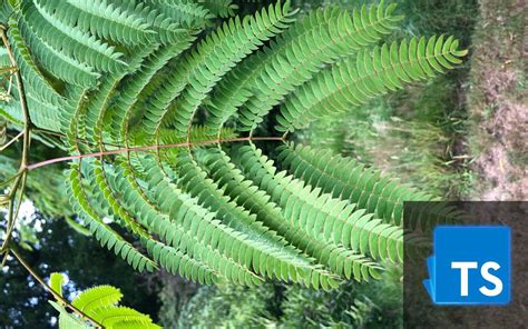 Teklog Technical Blog From Tekmi