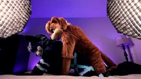 Mursuit Cum Inside Thisvid Com