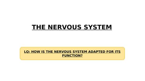 Igcse Biology Edexcel The Nervous System Teaching Resources