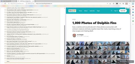 Enable And Use Split Screen In Edge Browser Easy Steps