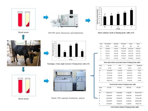 Organic Selenium Supplementation Increases Serum Selenium Levels In Healthy Xinjiang Brown