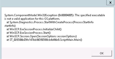 WinSCP NET Assembly Throwing The Winscp Exe Executable Was Not Found At Location Of The