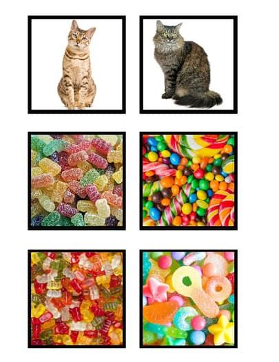 Non Identical Matching Cards By Positive Pathways Ed Tpt