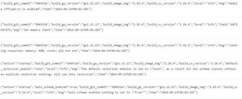 Issue With Weaviate Container On Start Up Support Weaviate Community Forum