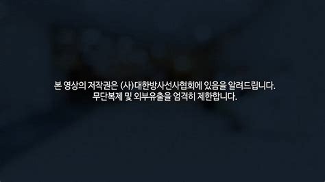 산과 초음파 검사최수연 강사high