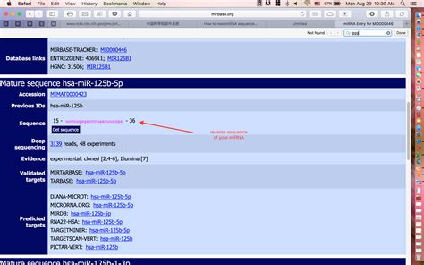 How To Read Mirna Sequence On Mirbase