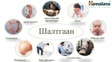 Шамбарам гэж юу вэ “ЦАХИУР ТӨМӨР” ХХК