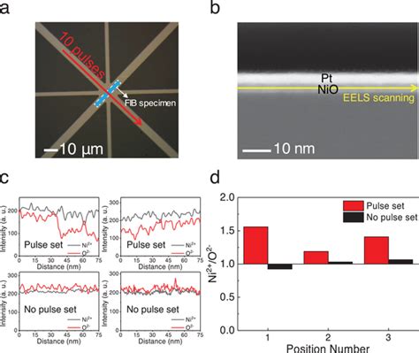 Four Dimensional Electron Energy Loss Spectroscopy Xncuc