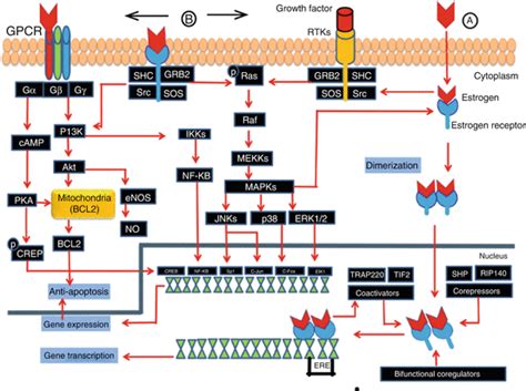 How To Restore Fertility A Thread Thread From George Ferman Helios Movement Rattibha