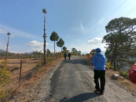 Tree Of Life Junoon In The Hills Kumaon Nainital Dist Resort In Kumaon