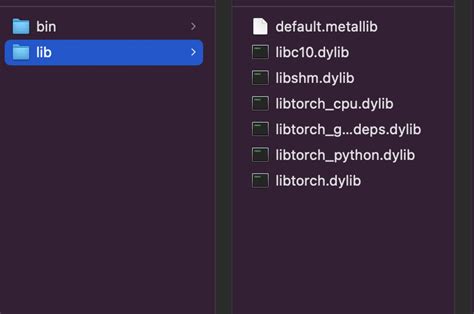 m1 installation · issue 164 · nanoporetech dorado · github