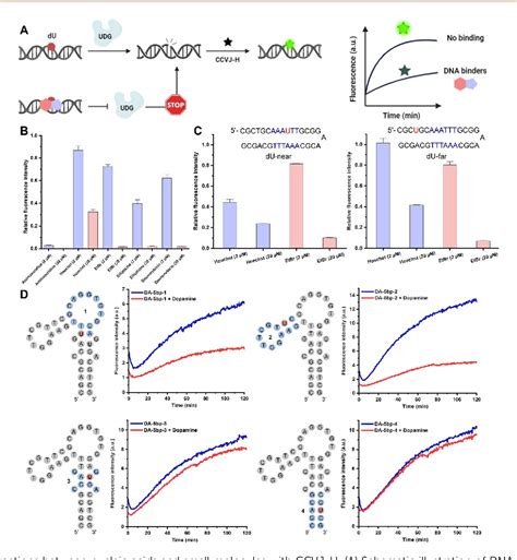 Figure 1 From Multifaceted Nucleic Acid Probing With A Rationally