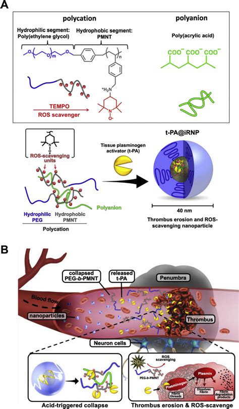 Schematic Design Of T Pa Installed Polyion Complex Pic Nanoparticles Download Scientific
