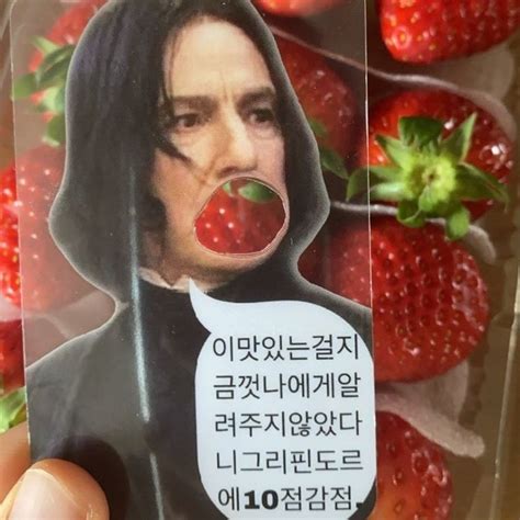 태생이 오타쿠인 사람이 있음 Twt 인스티즈 Instiz 이슈 카테고리