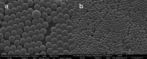 Sem Micrographs 10000x Of Polystyrene Spheres Prepared Using Acva As Download Scientific