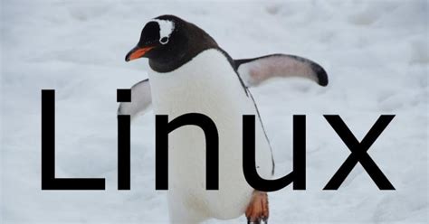 learned linux commands from a blog post soham rayewar posted on the