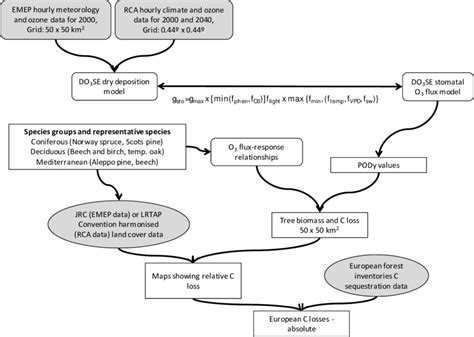 1 The Combination Of Different Datasets Used Within This Case Modelling