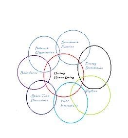 Nursing Conceptual Models Martha Rogers Flashcards Quizlet