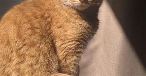 àtria Album On Imgur