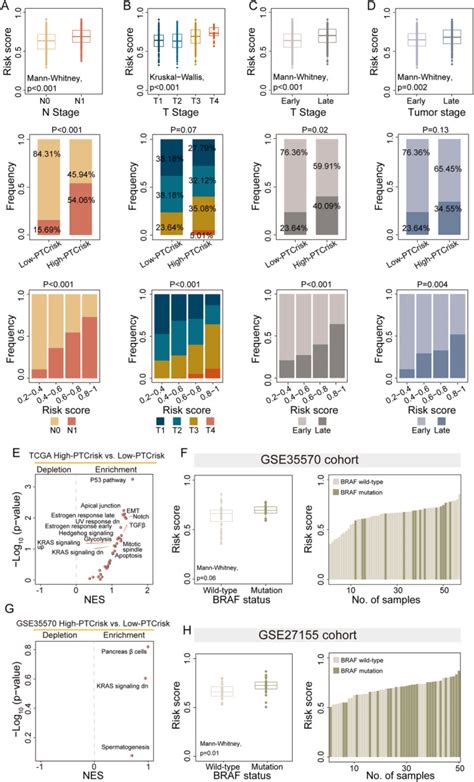Comprehensive Transcriptomic Profiling Reveals Molecular