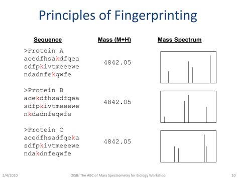 Mass Spectrometry Protein Identification Strategies Pptx
