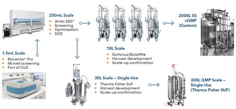 Microbial Cdmo Services