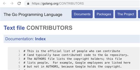 Xtoolsgodoc Non Go File Html Rendering Adds A Leading Tab Which Can