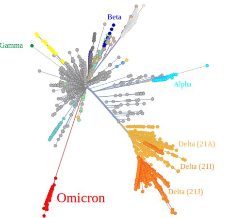 5 Fakta Dan Mitos Varian Omicron Pahami Biar Nggak Asal Menyepelekan
