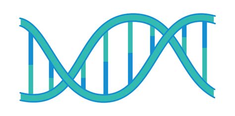 The Role Of Plasmid Sequencing In Gene Therapy Anemocyte