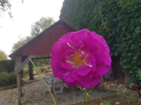 10월 20일목 Saint Jean Pied De Port 생 장 피에 드 포르 네이버 블로그