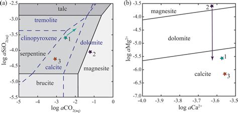Activity‐activity Diagrams Illustrating Phase Relations In The