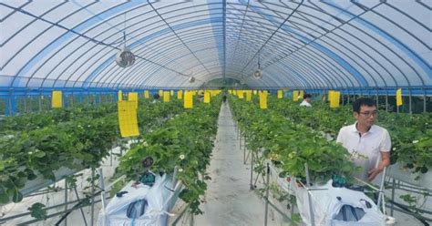 경북도 ‘지역 특화시범사업 농가 소득증대 효과 ‘톡톡