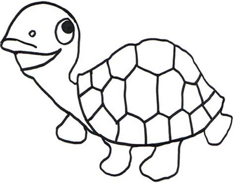Coloring Pages Reptiles Printable Modern Creative Ideas