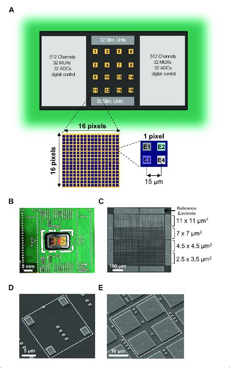 Multi Modal Cmos Mea Overview A Schematic Of The Overall Cmos Mea Download Scientific