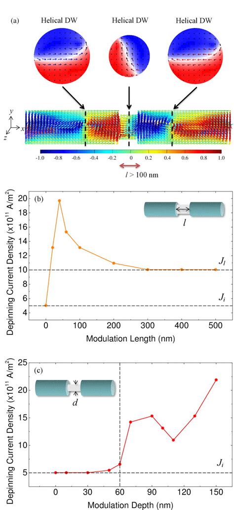 A The Magnetization Configuration Of A Diameter Modulated Cylindrical Download Scientific