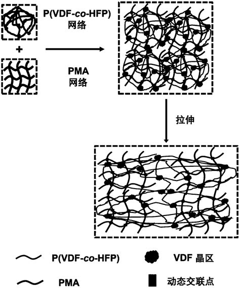 Double Network Ionic Gel With Stimulation Responsiveness And Self Repairability Eureka Patsnap