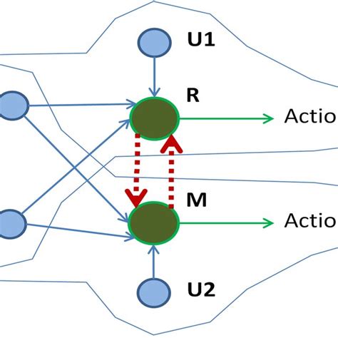 Neural Circuit With 2 Mutually Inhibitory Sub Circuits Download