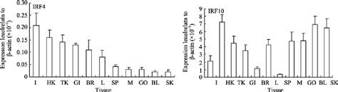 Figure 4 From Gene Cloning And Induced Expression Pattern Of IRF4 And