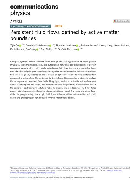 solution persistent fluid flows defined by active matter boundaries