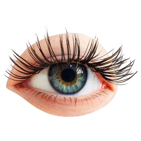 Download 3d Eyelash Png Eee