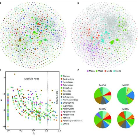 Co Occurrence Network And Module Structure Of Micro Eukaryotic