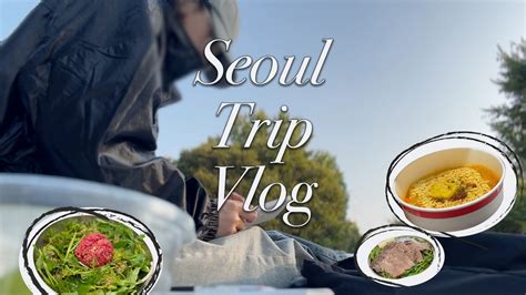 Vlog 서울 나들이 모음zip📚 Youtube