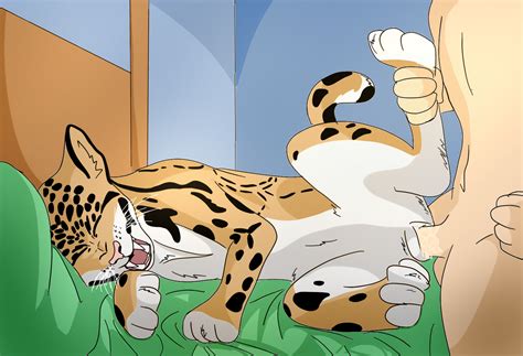 Rule 34 Bed Bedroom Closed Eyes Clouded Leopard Duo Erection Faceless