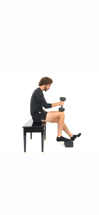 The Best Exercises For Posterior Tibial Tendonitis Artofit