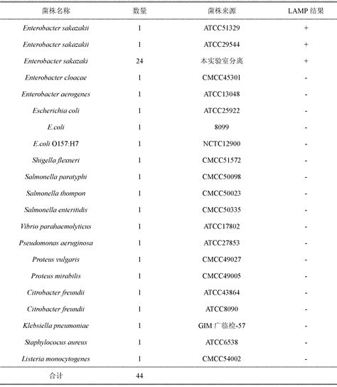 Loop Mediated Isothermal Amplification Detection Primer Group Detection Method And Detection